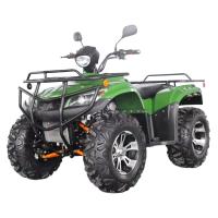 China 250cc Side by Side Farm ATV Maximum Speed 75-100Km/h Utility Vehicle UTV for Adult for sale