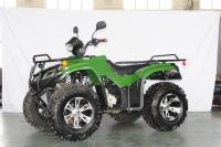 China 250cc Side by Side Farm ATV Maximum Speed 75-100Km/h Utility Vehicle UTV for Adult for sale