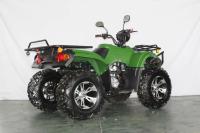 China 250cc Side by Side Farm ATV Maximum Speed 75-100Km/h Utility Vehicle UTV for Adult for sale