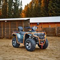 China Customized Colors 2024 Farm Quads 300cc 4x4 Big Power Utility ATV with Grade Ability for sale