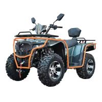 China 250cc Gasoline ATV UTV with 4-Stroke Engine Type and Unequipped Differential Lock for sale