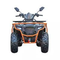 China 2024 UTV 4x4 / Utility ATV Farm Vehicle Unequipped Differential Lock 1000W 1000W for sale