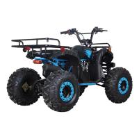 China Front Drum Rear Disc Brake System Aotong Motor 110 cc 125 cc Gasoline ATV QUAD 7 inch 8 inch 2WD for sale