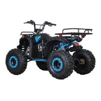 China Front Drum Rear Disc Brake System Aotong Motor 110 cc 125 cc Gasoline ATV QUAD 7 inch 8 inch 2WD for sale