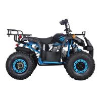 China Gas/Diesel Fuel Aotong Motor 4 Wheeler with Front Drum and Rear Disc Brake System for sale