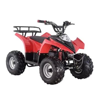 China Electric Quad ATV for Children 750W 800W 1000W 48V Tire 16x8-7 Driving Mileage ≤30km for sale