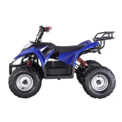 China Lead-Acid Battery Electric Quad Bike for Adults 8-Inch Tires and Grade Ability ≥25° for sale