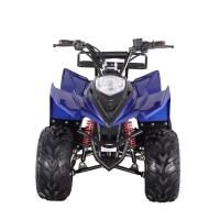 China Lead-Acid Battery Electric Quad Bike for Adults 8-Inch Tires and Grade Ability ≥25° for sale