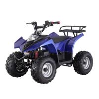 China Lead-Acid Battery Electric Quad Bike for Adults 8-Inch Tires and Grade Ability ≥25° for sale