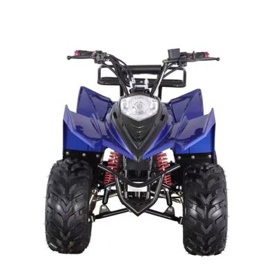 China Electric Mountain Truck Off-Road Vehicle with Rear Disc Brake and 600-1000mm Wheelbase for sale