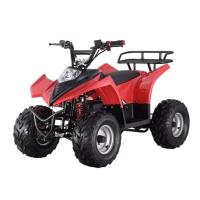 China Electric Mountain Truck Off-Road Vehicle with Rear Disc Brake and 600-1000mm Wheelbase for sale