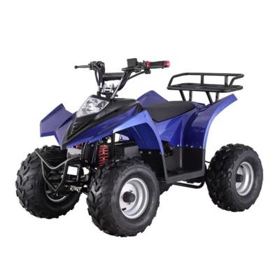China Maximum Torque ≤20Nm 750W Mini ATV for Kids in Red/Blue/Black/Green/Yellow Features for sale