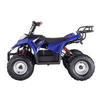 China Maximum Torque ≤20Nm 750W Mini ATV for Kids in Red/Blue/Black/Green/Yellow Features for sale