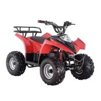 China Maximum Torque ≤20Nm 750W Mini ATV for Kids in Red/Blue/Black/Green/Yellow Features for sale