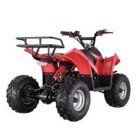 China Maximum Torque ≤20Nm 750W Mini ATV for Kids in Red/Blue/Black/Green/Yellow Features for sale