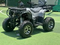 China Experience the Power of Our 200CC Farm ATV with Grade Ability ≥25° for sale