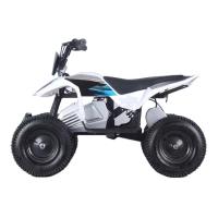 China 350W Electric Quad for Kids Maximum Speed ≤50Km/h 13X5.0-6 Tire Easy to Control for sale