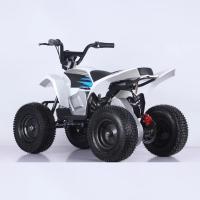 China 350W Electric Quad for Kids Maximum Speed ≤50Km/h 13X5.0-6 Tire Easy to Control for sale