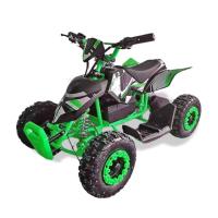 China 800w 36v Four Wheeler Electric ATV with Maximum Torque of 40-60Nm for sale
