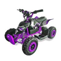 China Mini Four Wheel Motorcycle 800w Ce Certification Kids Electric 4 Wheeler Quad Atv Easy for sale