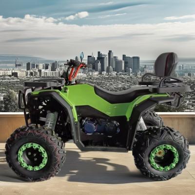 China 250cc Displacement Four-Stroke Air-Cooled Gasoline ATV Motorcycle for 2WD Driving Fun for sale