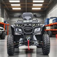 China Unleash Your Inner Adventurer 250CC Automatic Chain Drive ATV for Off-road Riding for sale