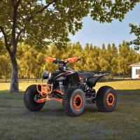 China Maximum Speed ≤50Km/h 1500W Quad 4 Wheeler ATV For Adults with Wheelbase 600-1000mm for sale