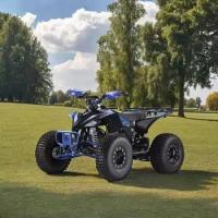 China Maximum Speed ≤50Km/h 1500W Quad 4 Wheeler ATV For Adults with Wheelbase 600-1000mm for sale