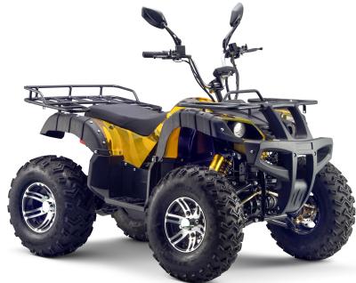 China Electric ATV 4x4 for Adults Maximum Torque Nm ≤20Nm Red/Blue/Black/Green/Yellow 3000W for sale