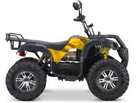 China Electric ATV 4x4 for Adults Maximum Torque Nm ≤20Nm Red/Blue/Black/Green/Yellow 3000W for sale