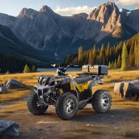 China DISC Brake Electric 3000w Dune Buggy for Adults 1500w*2 UTV ATV 4x4 Off-Road Vehicle for sale