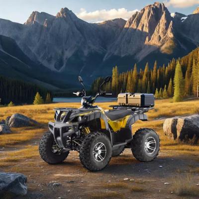 China DISC Brake Electric 3000w Dune Buggy for Adults 1500w*2 UTV ATV 4x4 Off-Road Vehicle for sale