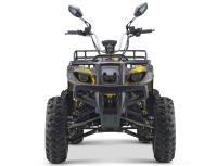 China DISC Brake Electric 3000w Dune Buggy for Adults 1500w*2 UTV ATV 4x4 Off-Road Vehicle for sale