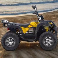 China Maximum Speed 50-75Km/h 3000W Electric ATV with 4WD and 60v Automatic Transmission for sale
