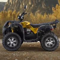 China Adults 3000W Electric ATV Quad Gas Powered 2WD 4WD with Maximum Speed of 50-75Km/h for sale