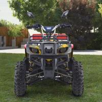 China Switchable 2WD/4WD Driving Type 72V Electric Quad ATV Farm Utility Vehicle Buggy with 7-9h Charge Time for sale