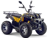 China Switchable 2WD/4WD Driving Type 72V Electric Quad ATV Farm Utility Vehicle Buggy with 7-9h Charge Time for sale