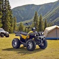 China Versatile 60v 72V Electric Quad ATV Farm Utility Vehicle Buggy 1800-2200mm Wheelbase for sale