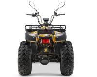 China Versatile 60v 72V Electric Quad ATV Farm Utility Vehicle Buggy 1800-2200mm Wheelbase for sale
