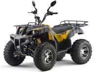 China Versatile 60v 72V Electric Quad ATV Farm Utility Vehicle Buggy 1800-2200mm Wheelbase for sale