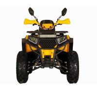 China Four-wheel Drive Adult 200cc 250CC Automatic Motorcycle ATV with High Voltage 12V for sale