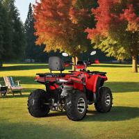 China Fuel Gas/Diesel Farm ATV 200cc/250cc 4 Wheel ATV with Maximum Torque Nm ≤20Nm for sale