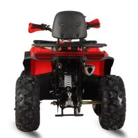 China Eletric Start 200cc Displacement CVT GY6 Gasoline ATV for All-Terrain Exploration for sale