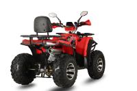 China Experience the Ultimate Off-Road Ride with Aotong Motor's 200cc 4x4 Quad Bike for sale