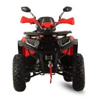 China 200CC GY6 Gasoline All Terrain Vehicle 4x4 Automatic ATV for Adults in Chinese Market for sale
