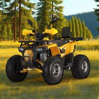 China 125cc Farm Quads ATV for Adults Powerful Gas / Diesel Engine and Chain Drive for sale