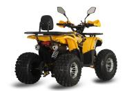 China 125cc Farm Quads ATV for Adults Powerful Gas / Diesel Engine and Chain Drive for sale