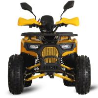 China 125cc Farm Quads ATV for Adults Powerful Gas / Diesel Engine and Chain Drive for sale