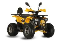 China 125cc Farm Quads ATV for Adults Powerful Gas / Diesel Engine and Chain Drive for sale