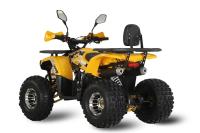China 125cc Farm Quads ATV for Adults Powerful Gas / Diesel Engine and Chain Drive for sale
